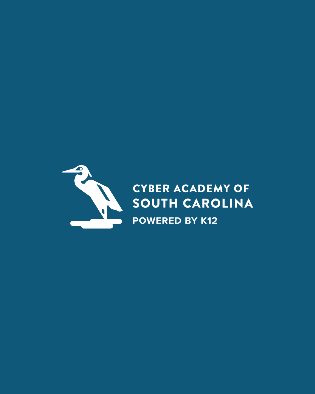 Student Success at Cyber Academy of South Carolina